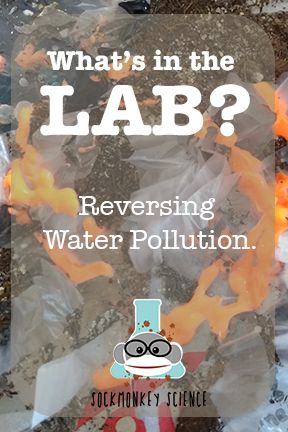 What’s in the Lab? Reversing Water Pollution – Sockmonkey Science