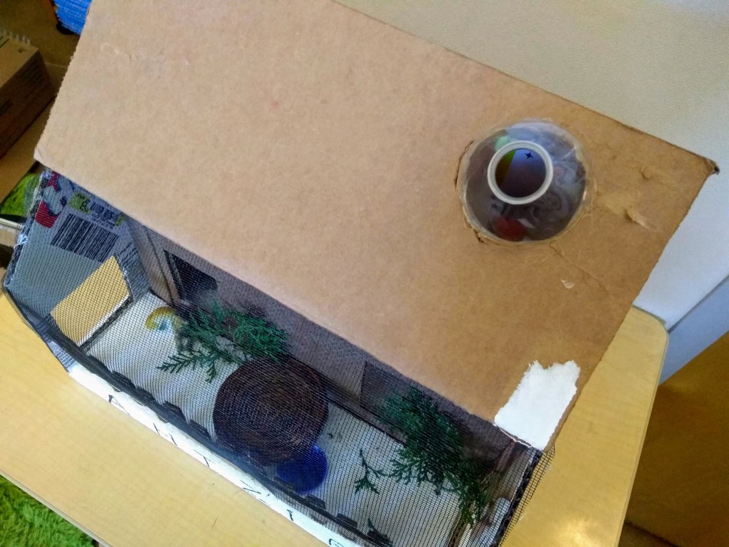 Going Green: The Recycled Home Project – Sockmonkey Science