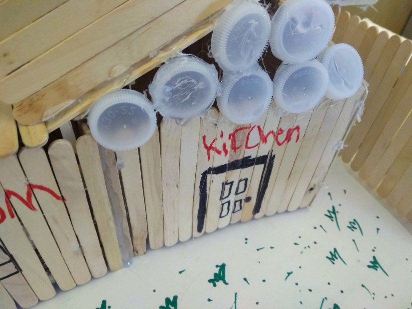 Going Green: The Recycled Home Project – Sockmonkey Science