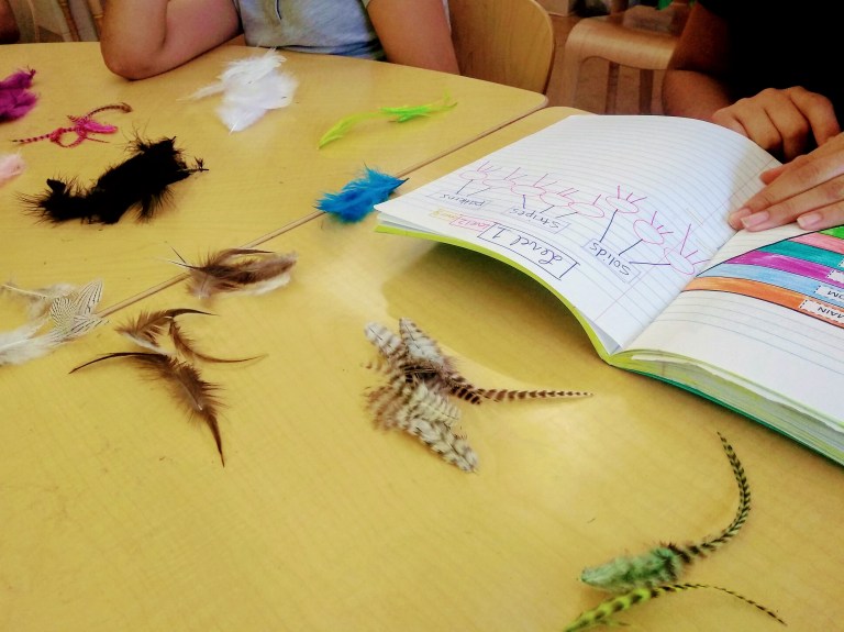 Classifying Organisms: Teaching Taxonomic Classification – Sockmonkey ...