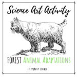 Teaching Science with Art: Animal Adaptations for Kids – Sockmonkey Science