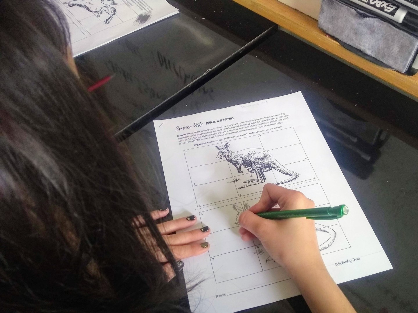 Teaching Science with Art: Animal Adaptations for Kids – Sockmonkey Science
